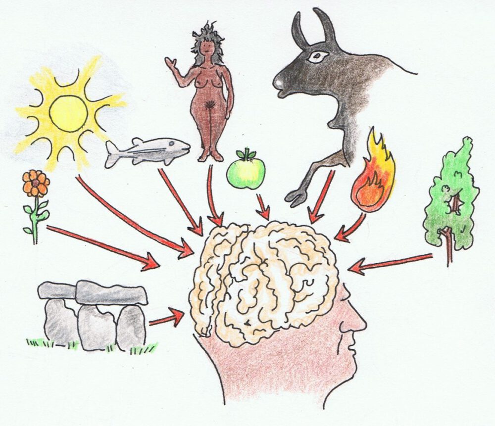 Oerbrein. De langzame ontwikkeling van onze hersenen - Dolm